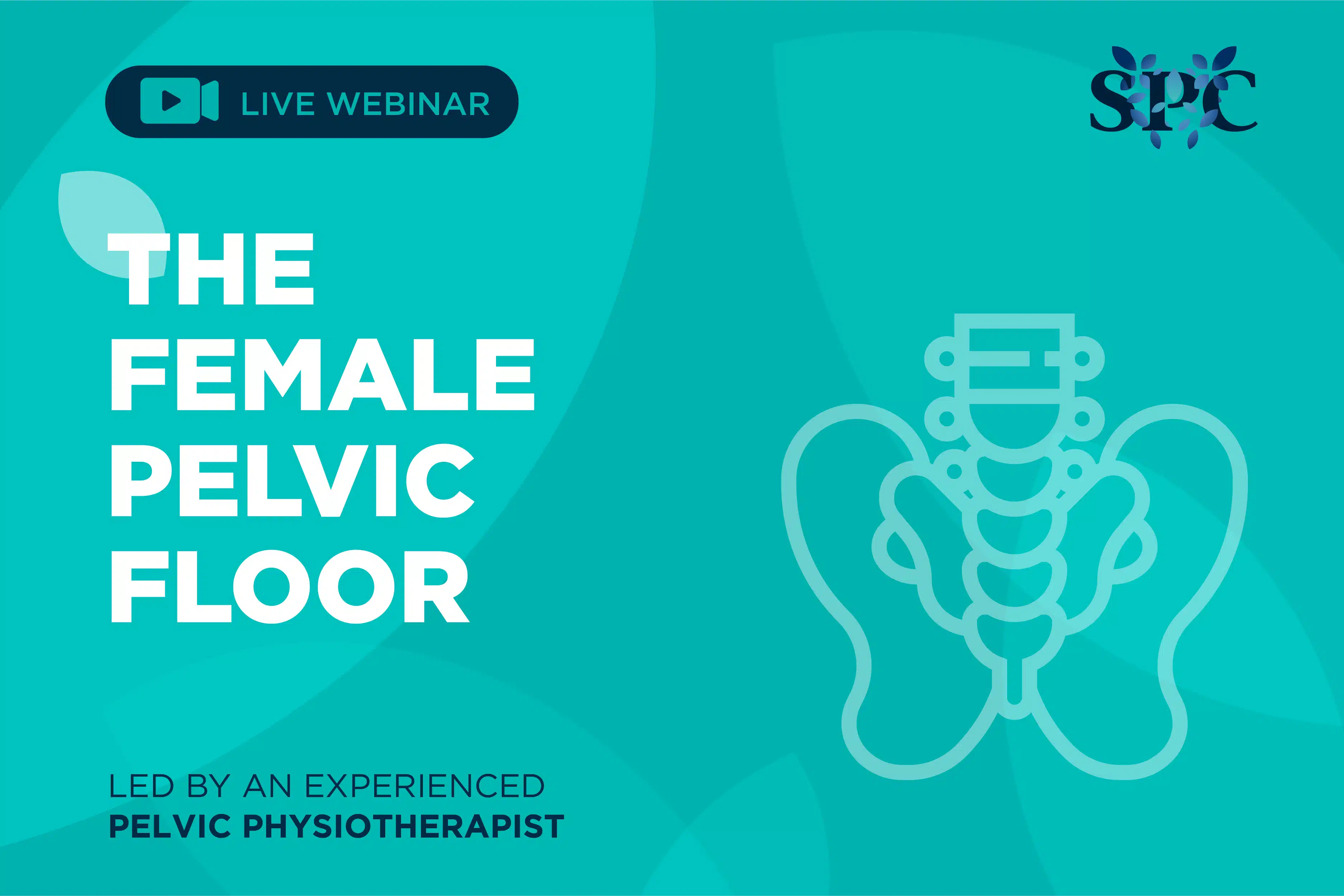Centre Of Excellence For Pelvic Health | Sydney Pelvic Clinic